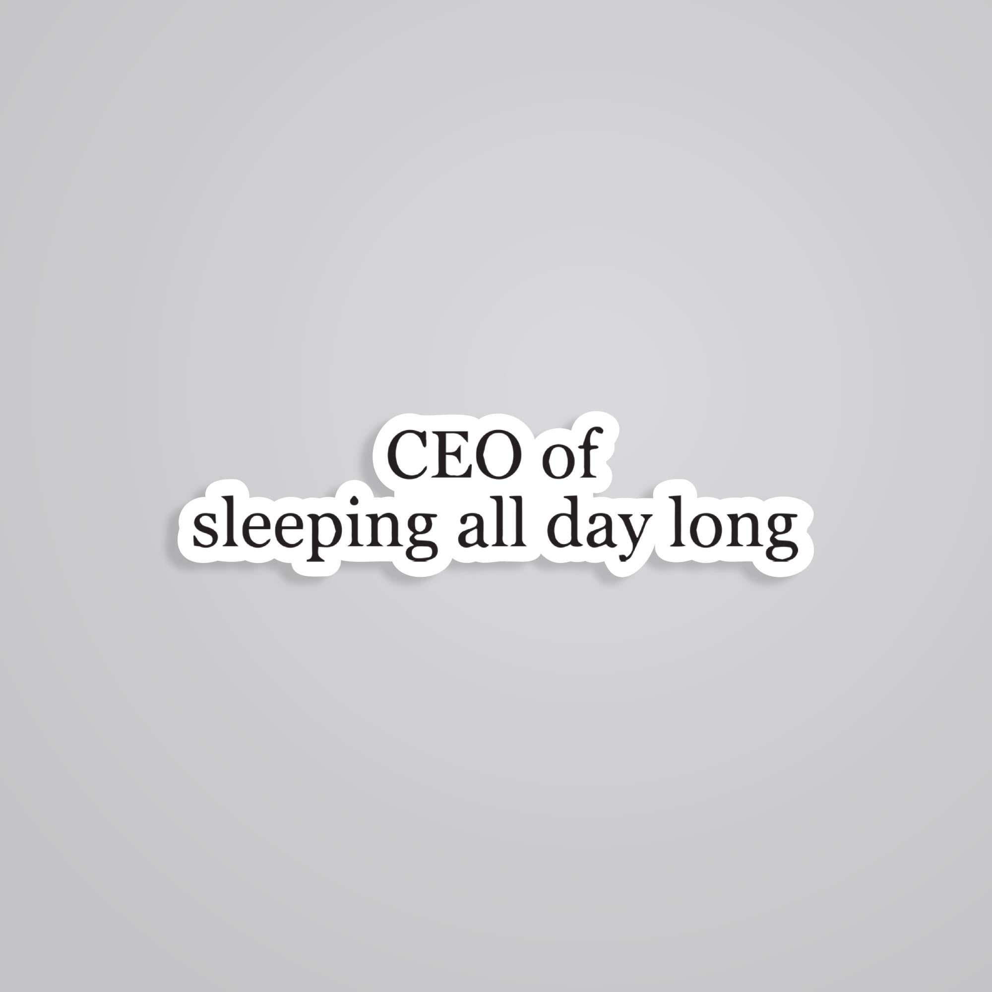 CEO of sleeping all day Witty Stickers - For those who dream big... and ...