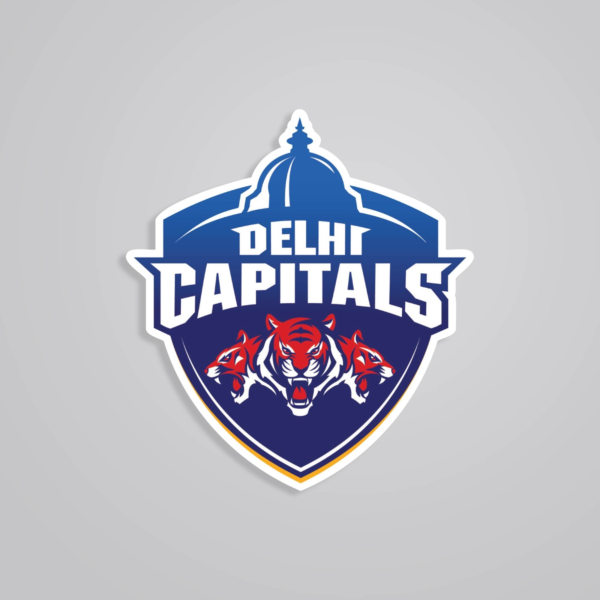 Delhi Capitals Logo Sports Stickers