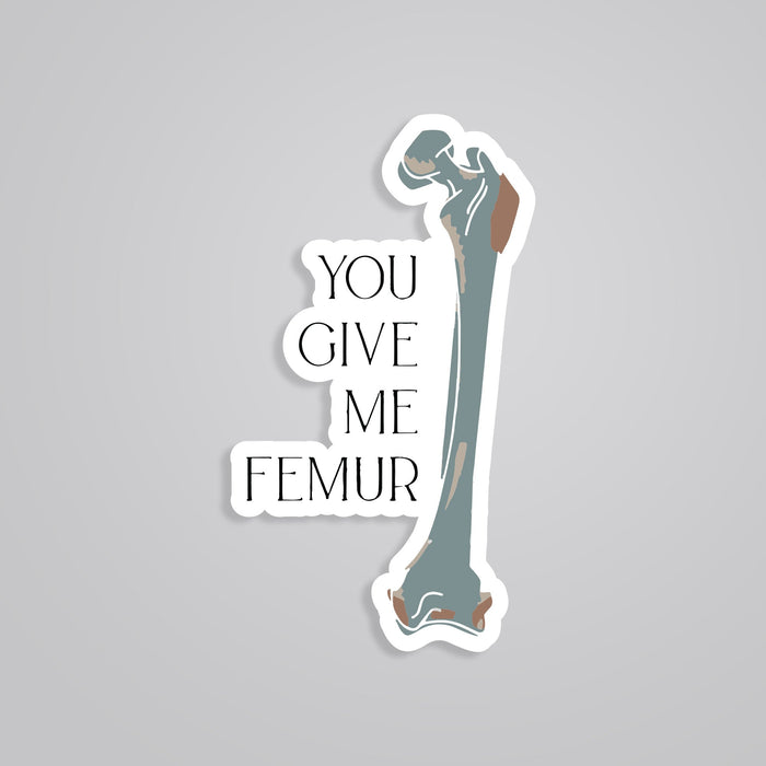 You Give Me FEMUR Witty Stickers - Humerus and Punny Decals for a Laugh